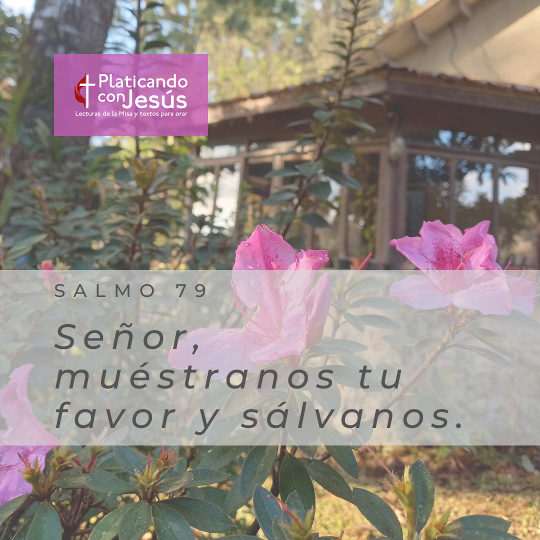 Domingo 19 De Diciembre Misal Platicando Con Jesús